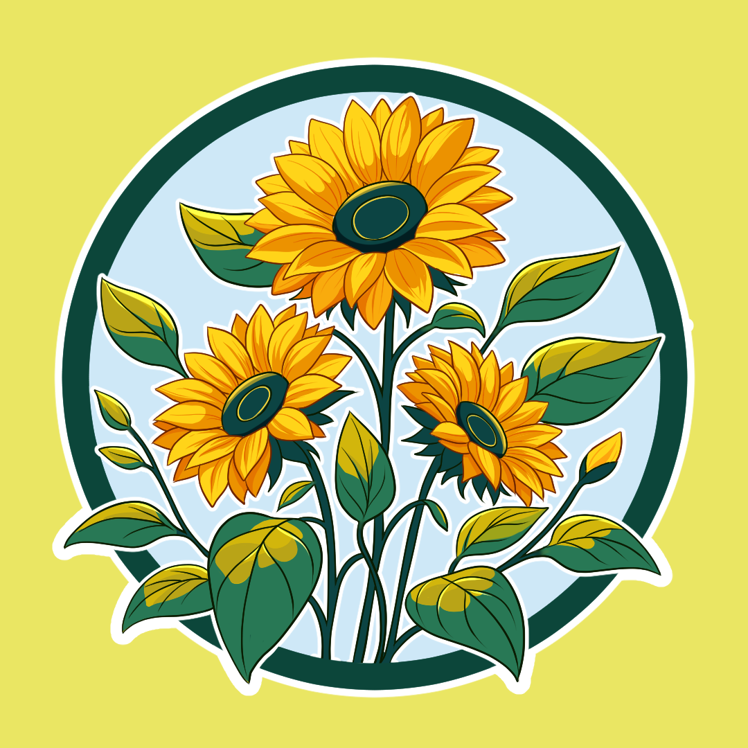 Designer Haruka Site